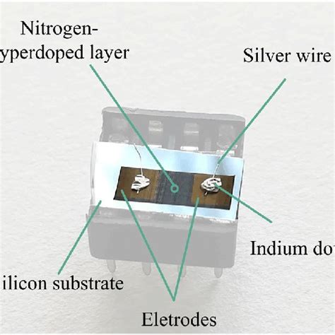 Schematic Illustration Of The Gas Sensor Download Scientific Diagram
