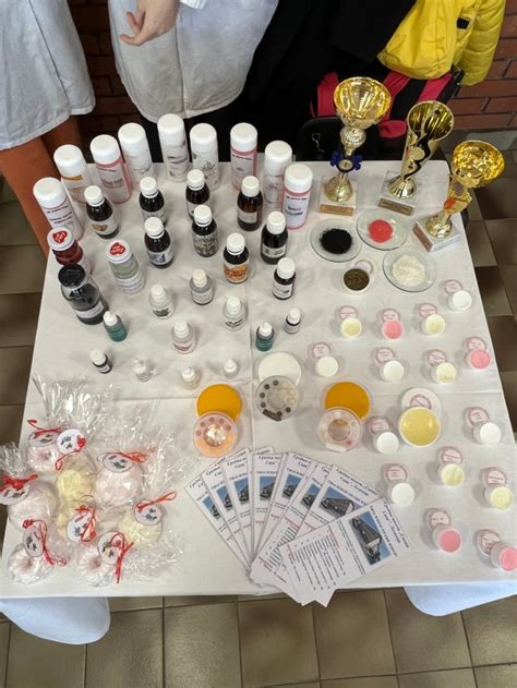 Свети Сава СРЕДЊА ШКОЛА ЛОЗНИЦА