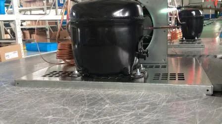 Frequency Conversion Series Compressor R A V Vfc Compressor Freezer Compressor And AC