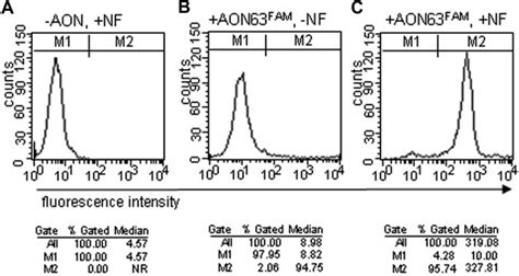 Aons Enter The Cells With High Efficiency On Nucleofection Nf Facs