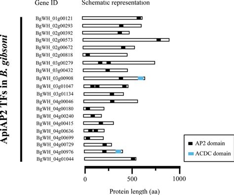 Schematic Representation Of The Location And Number Of AP And ACDC Download Scientific Diagram