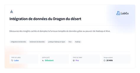 maîtriser l intégration de données avec hadoop et hive labex