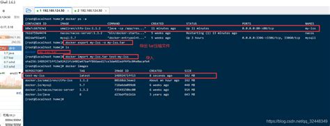 Docker 容器的导出 导入docker容器导入导出 Csdn博客