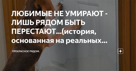 ЛЮБИМЫЕ НЕ УМИРАЮТ ЛИШЬ РЯДОМ БЫТЬ ПЕРЕСТАЮТистория основанная