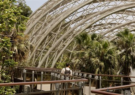 木柵動物園 台北一日遊，親子景點路線規劃 哪裡人，你說呢｜國內外旅遊食記