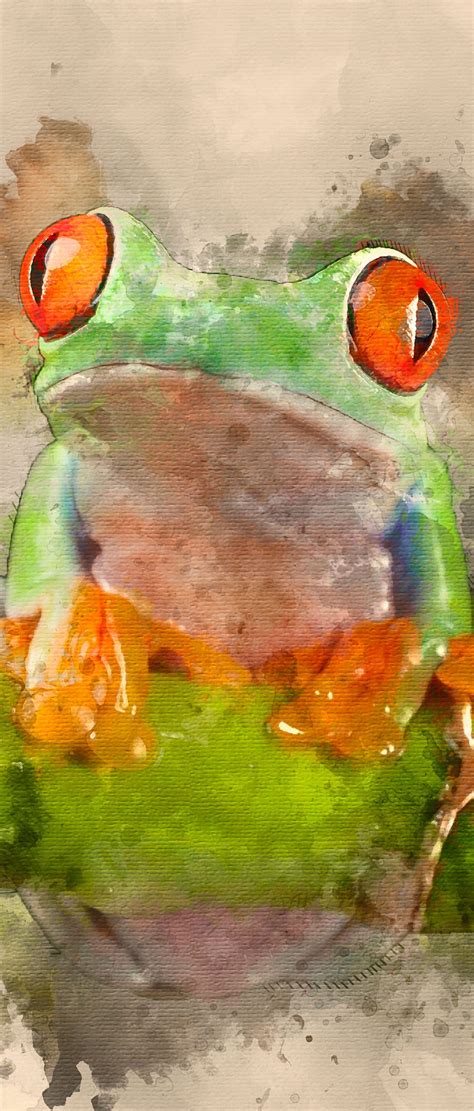 Green Tree Frog Sulo Bin Decal Signable Albury Signwriter Signs Stickers Printing And Wall