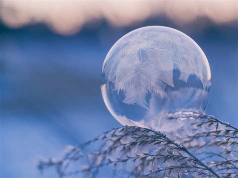 Interactive Grid Freeze Unfreeze Columns Using JavaScript