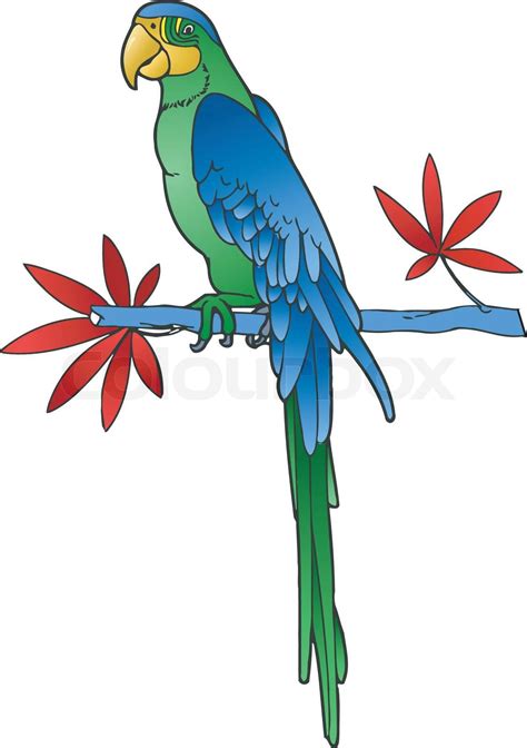 Parrot Stock Vector Colourbox