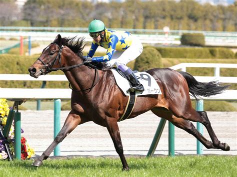 競馬ニュース詳細｜東京サラブレッドクラブ