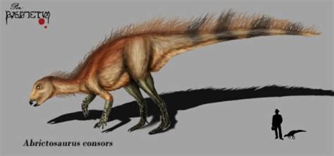 Imagen Abrictosaurus2  Wiki Prehistórico Fandom Powered By Wikia