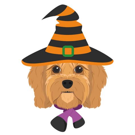 20 Cavapoo Ilustrasi Grafik Vektor And Clip Art Bebas Royalti Terbaik