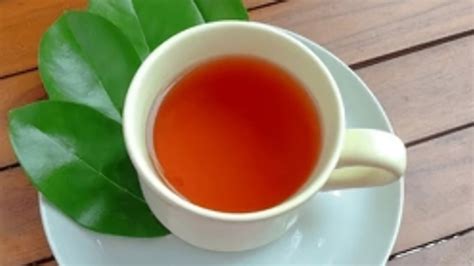 Foto Reaksi Tubuh Setelah Minum Rebusan Daun Sirsak Efek Mengejutkan Yang Jarang Diketahui