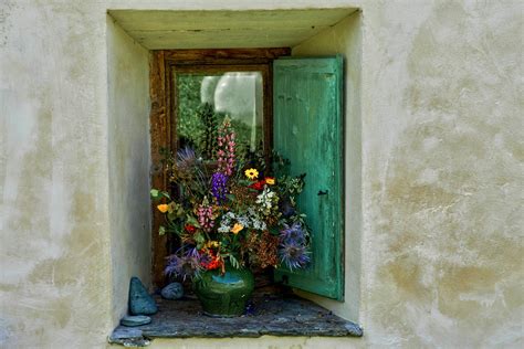 Windows 11 Flower Wallpaper Photos Download The Best Free Windows 11