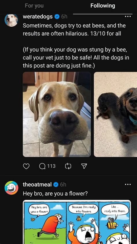 That Tineline Synchronicity Though