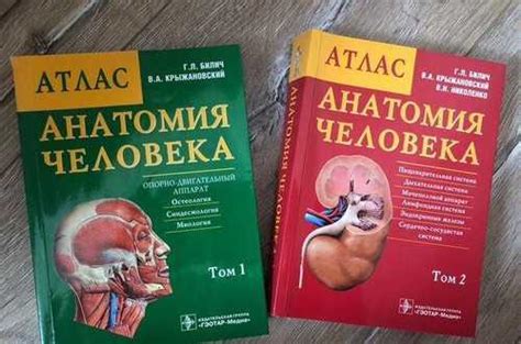 Атлас анатомии человека Г.Л Билич 2 Тома | Festima.Ru – частные объявления