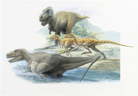 Daspletosaurus Vs Albertosaurus