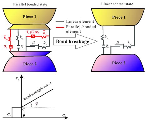 Difference Between Pbm And Linear Model Download Scientific Diagram
