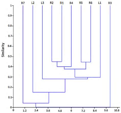 Classification Of Stations Based On Similarities Of Invertebrate Download Scientific Diagram