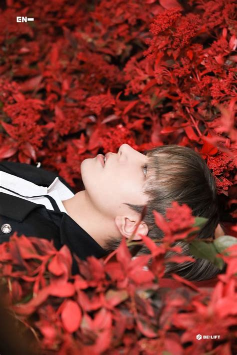 Enhypen Community Posts 와 정말 다들 New 콘셉트 사진을 보면 너무 멋있고 잘생겨 보여요