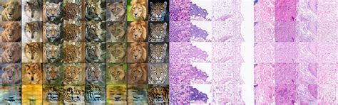 Figure 1 From Model Stitching And Visualization How Gan Generators Can Invert Networks In Real