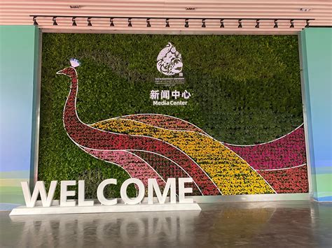 气氛拉满！昆明cop15主会场鲜花盛开昆明市生物多样性公约新浪新闻