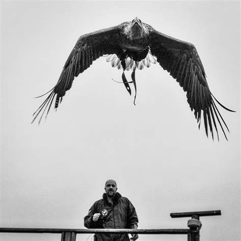 Stephen Scharf 2 This Week In Photo Twip