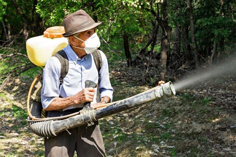 Utah Tree Disease Pest Control Alert Reliable Tree Care
