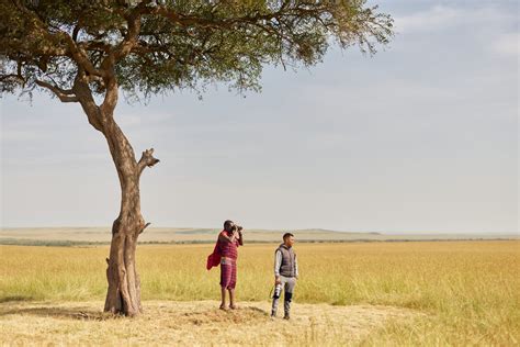 Following The Signs In The Masai Mara The Creation Of Ishara Ishara