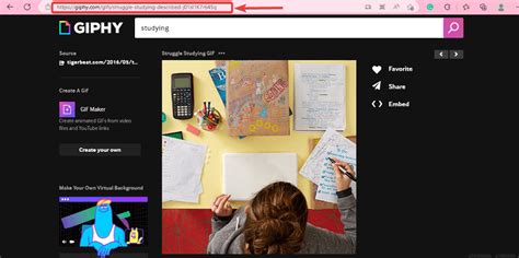How To Add  In Notion Easy Way Notionzen