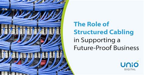 The Role Of Structured Cabling In Supporting A Future Proof Business
