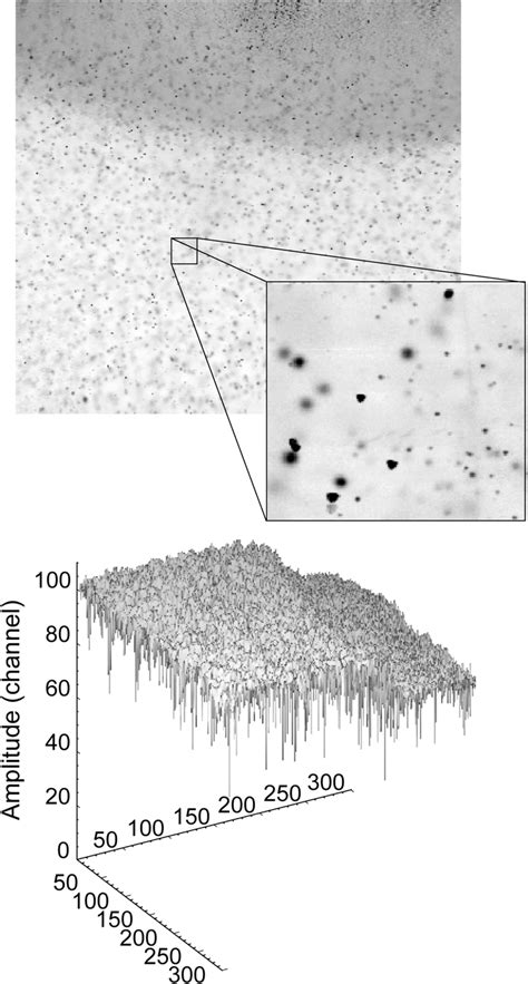 High Spatial Resolution X Ray Response Map Top Measured For A Cm