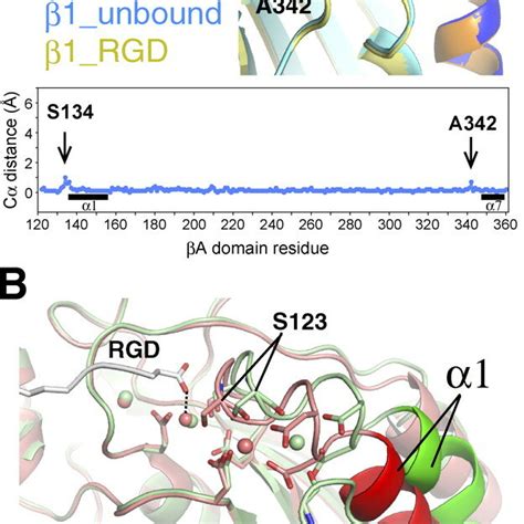 Shape Shifting Of The βa Domain Upon Ligand Binding A Structural