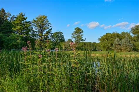 New York Adds 1 Million Acres Of Wetlands Sparking Concern Among