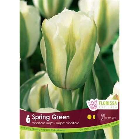 Tulipa Spring Green Bulbs Tulip Bulbs Arts Nursery Garden And
