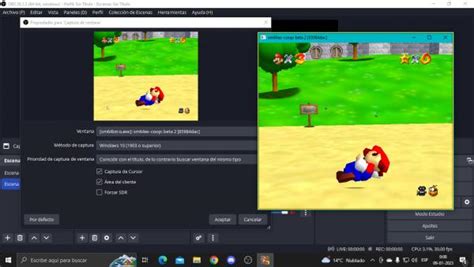 Problems Getting A Window Capture With Bitblt And Printwindow Vbforums