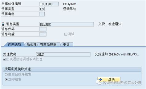 第14篇 「sap Mm Jit专题系列」 供应链 汽配行业国产件and进口件的下达及收货，与外围系统集成解决方案sap Jit Csdn博客