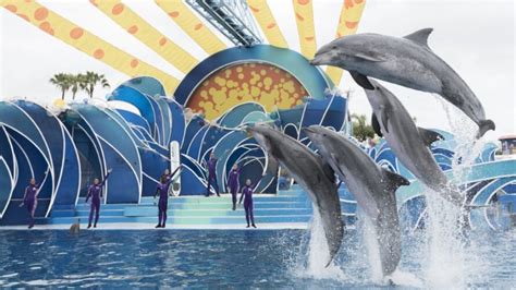 Guest Editorial Dolphin Protection Act It Was Only A Matter Of Time