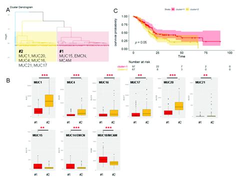 Unsupervised Hierarchical Clustering Analysis Of Pdac Patients Download Scientific Diagram
