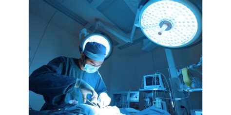 Bella Het Operasie Nodig Nadat Muur Meegee Nuusflits