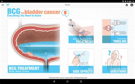 Bcg Bladder Cancer Treatment