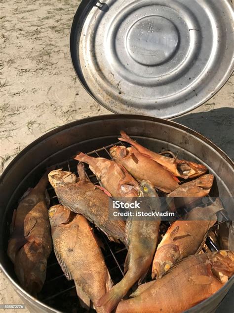 강 물고기 형 요리 뜨거운 훈제 농 어는 오픈 흡연 장치에 있다 0명에 대한 스톡 사진 및 기타 이미지 0명 갈색 국가 관광명소 Istock