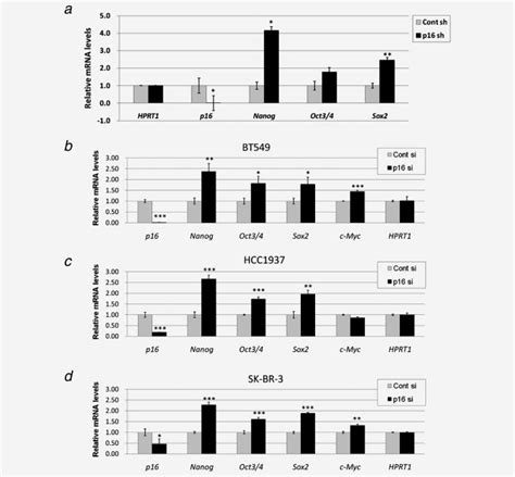 Quantitative Real Time Rt Pcr Analysis Of The Mrna Expression Of P16