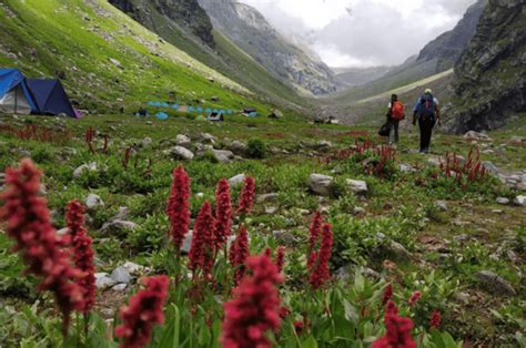 Hampta Pass Trek Package Tripoventure Flat 15 Off