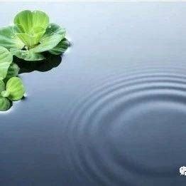坦然面对心平气静安然于得失 时刻 东西 舍小得