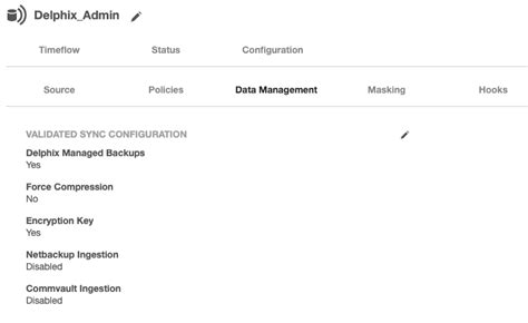 Linking A Dsource From A Netbackup Sql Server Backup