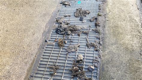 The Importance Of Interceptor Maintenance