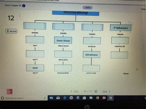 Solved Quiz Chapter 16 Move The Terms Into The Correct Empty Chegg