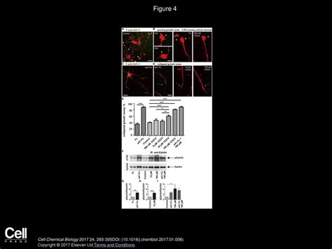 Potent And Selective Epha4 Agonists For The Treatment Of Als Ppt Download