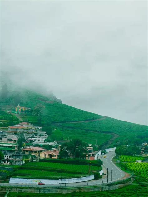 Best Hill Stations In Tamil Nadu That You Should Explore In People Places