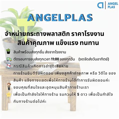 กระถาง กระถางต้นไม้สวยๆ กระทางต้นไม้ กระถางดำ สีดำ 6 นิ้ว กว้างจริง 5 7